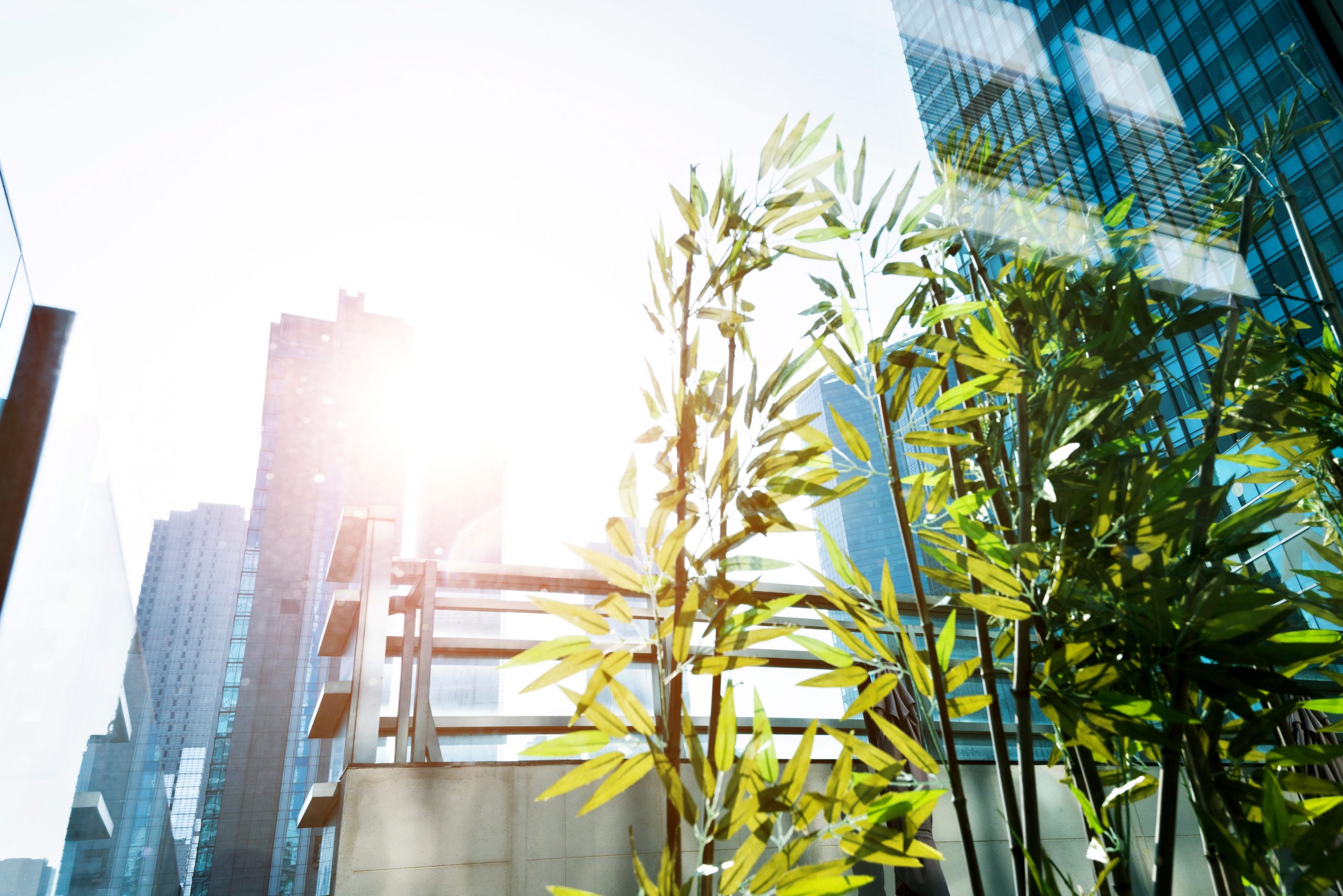 Valuing NBI - Nature-Based Infrastructure Global Resource Centre