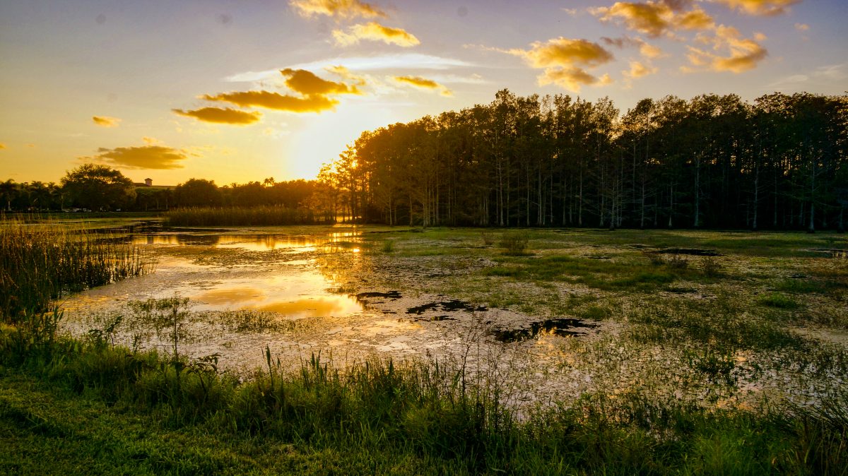 Nature-Based Infrastructure Global Resource Centre The Value of ...