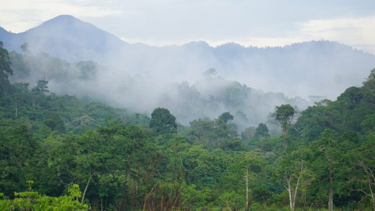 Nature-Based Infrastructure Global Resource Centre The Brantas River ...