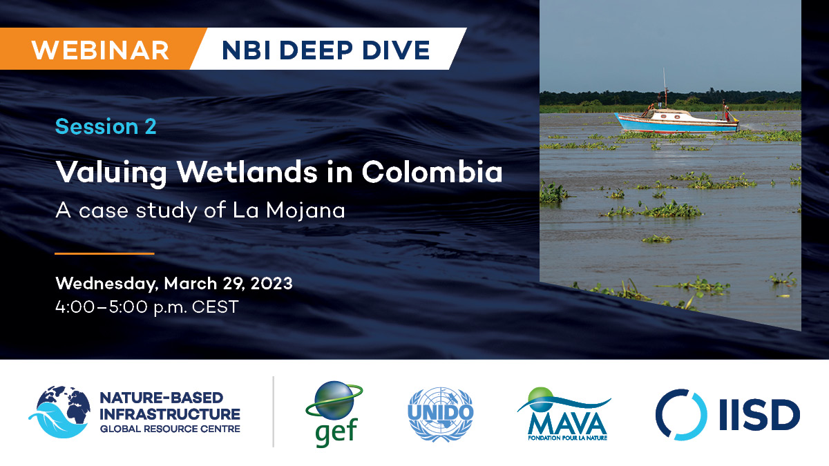 NBI Deep Dive: Valuing Wetlands in Colombia, a Case Study of La Mojana ...