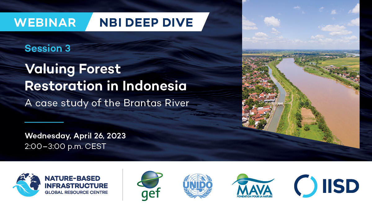NBI Deep Dive: Valuing Forest Restoration in Indonesia, a Case Study of ...