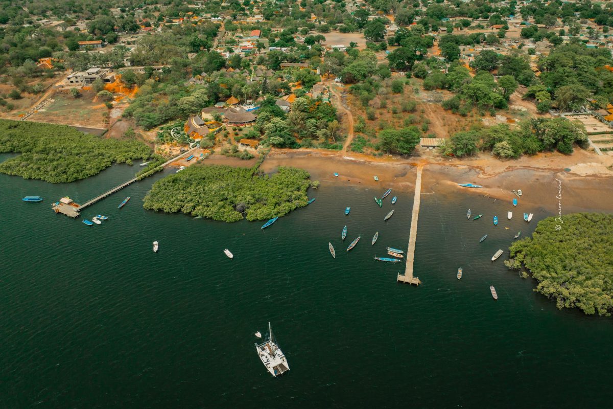 Restoration of Mangrove Ecosystems in Natur'ELLES, Senegal - Nature ...