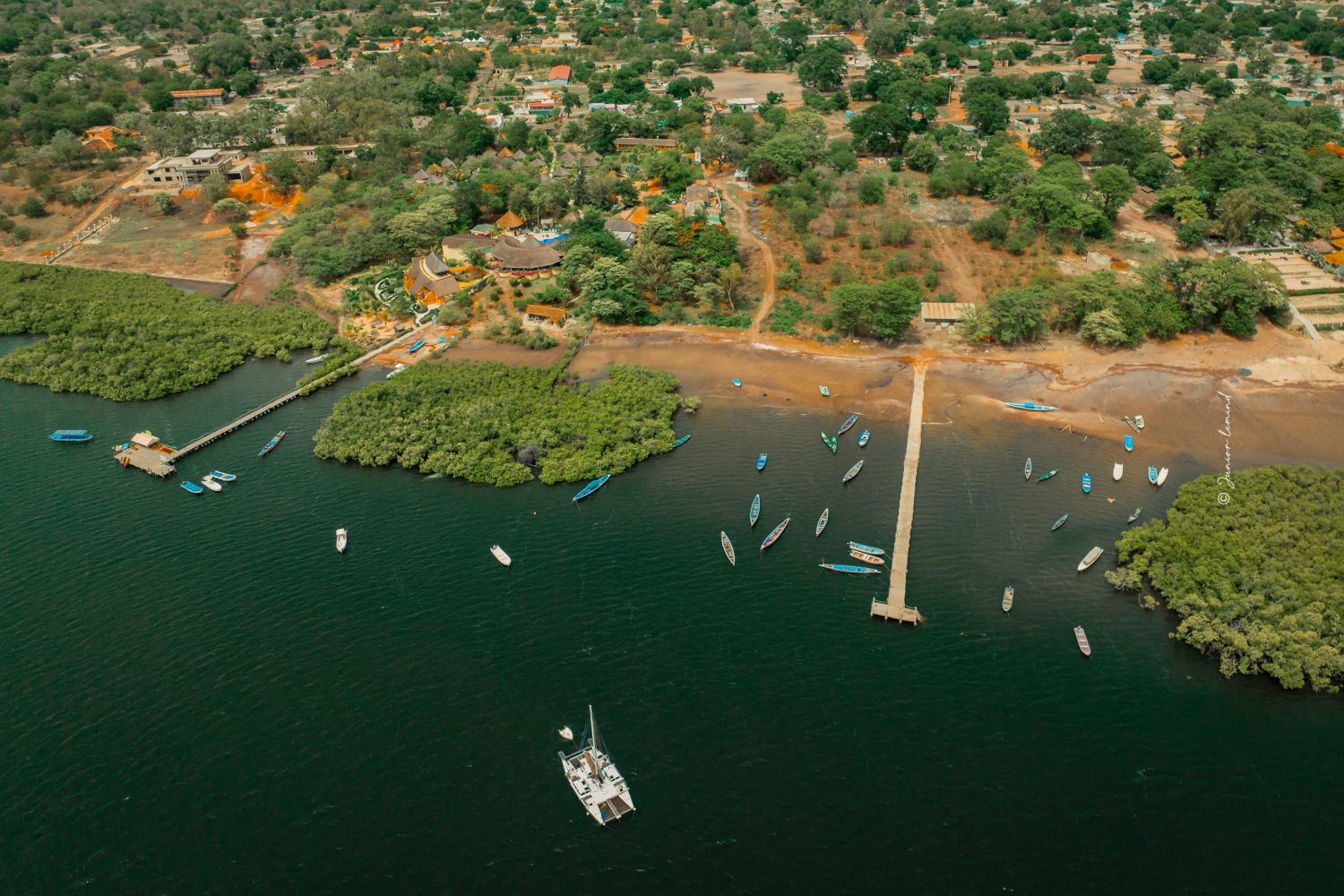 Restoration of Mangrove Ecosystems in Natur'ELLES, Senegal - Nature ...