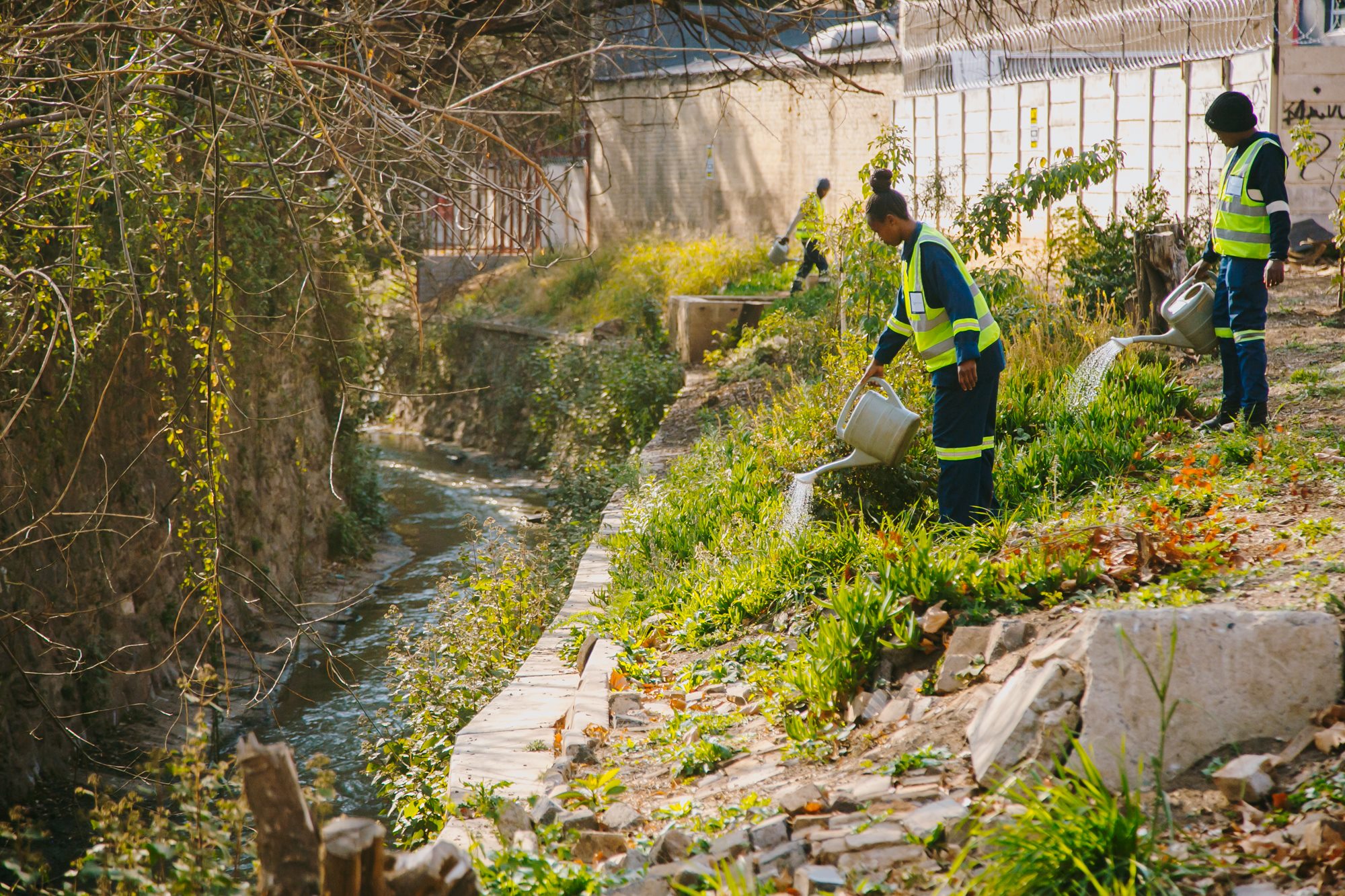 Nature-Based Infrastructure Global Resource Centre River Restoration ...