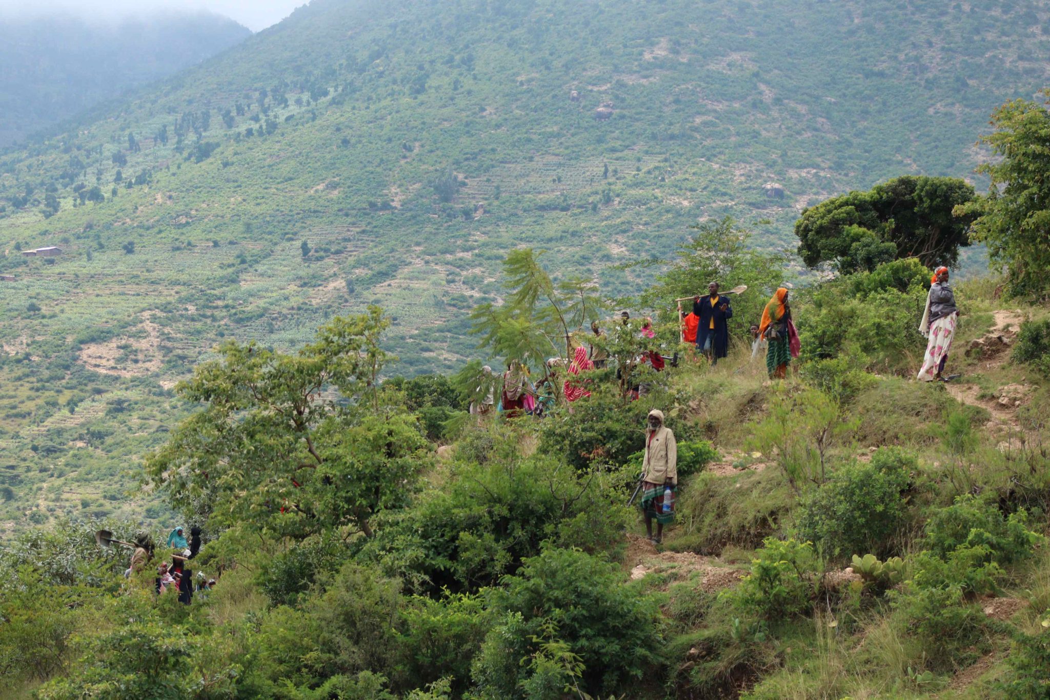 Nature Based Infrastructure Global Resource Centre Nbs For Flood
