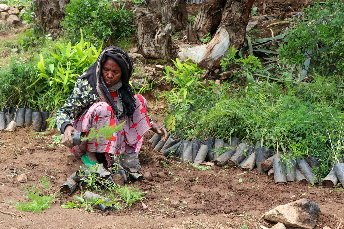 Wetlands - Nature-Based Infrastructure Global Resource Centre