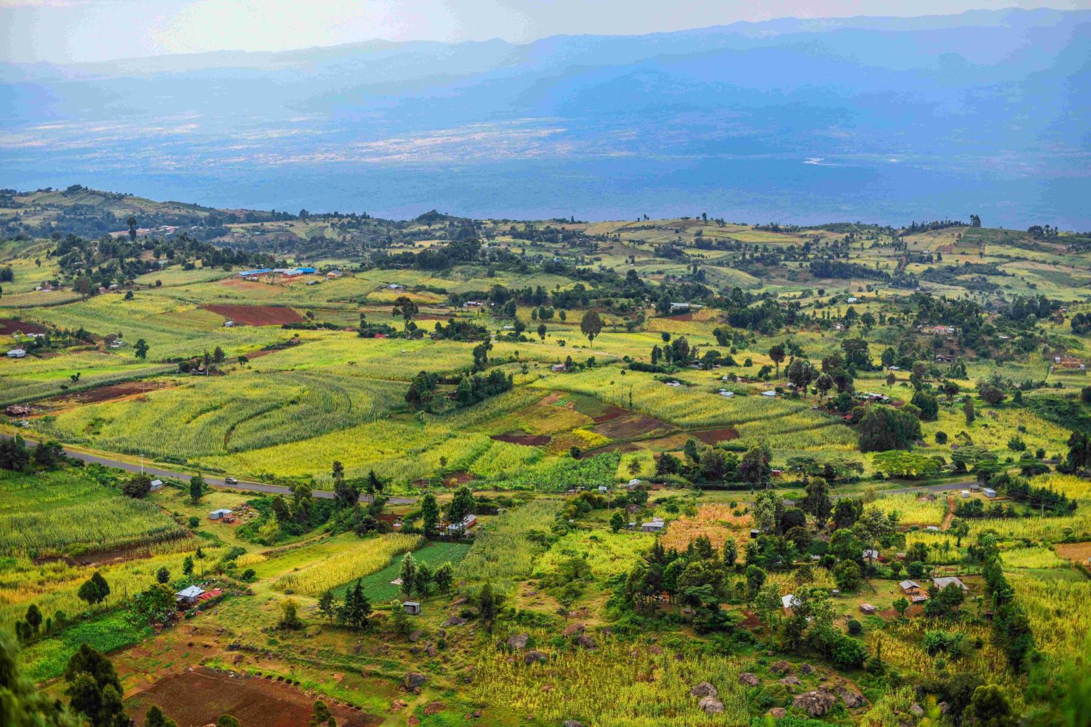 Nature-Based Infrastructure Global Resource Centre NBI to Combat Water ...
