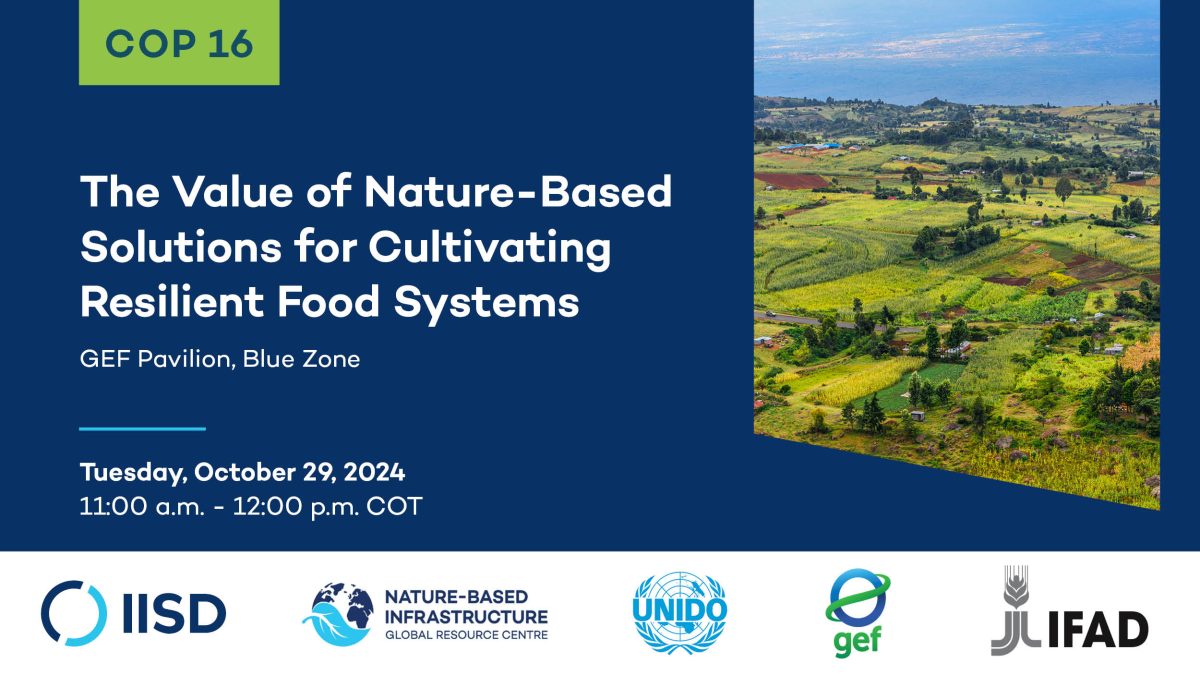 COP16 | The Value of Nature-Based Solutions for Cultivating Resilient ...