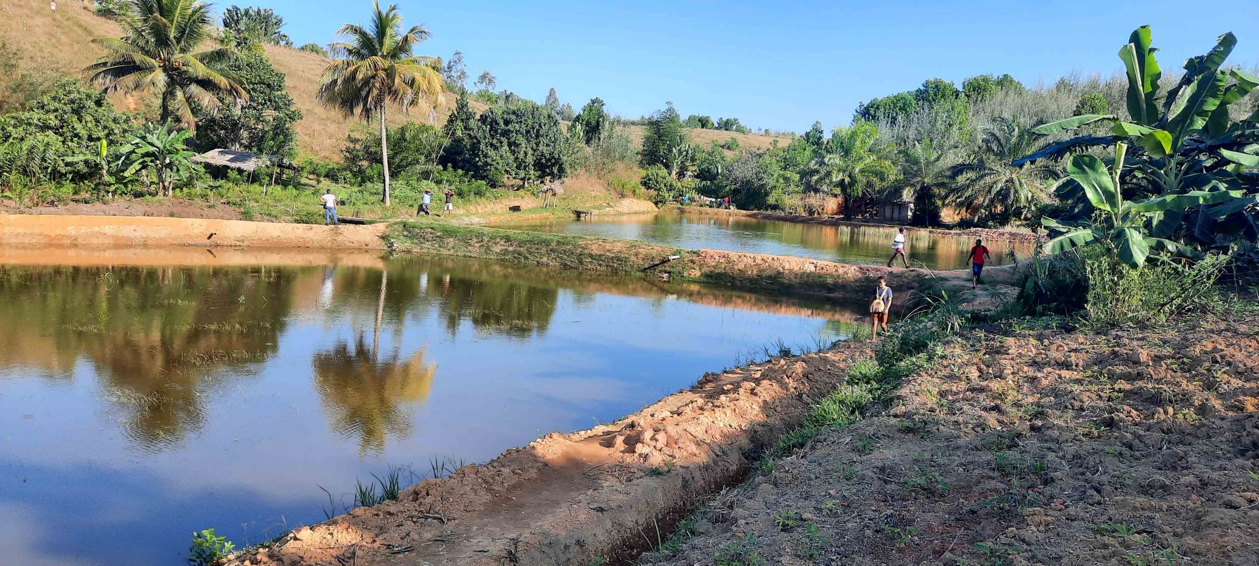 Fish for the Future: From intensive to extensive aquaculture in ...