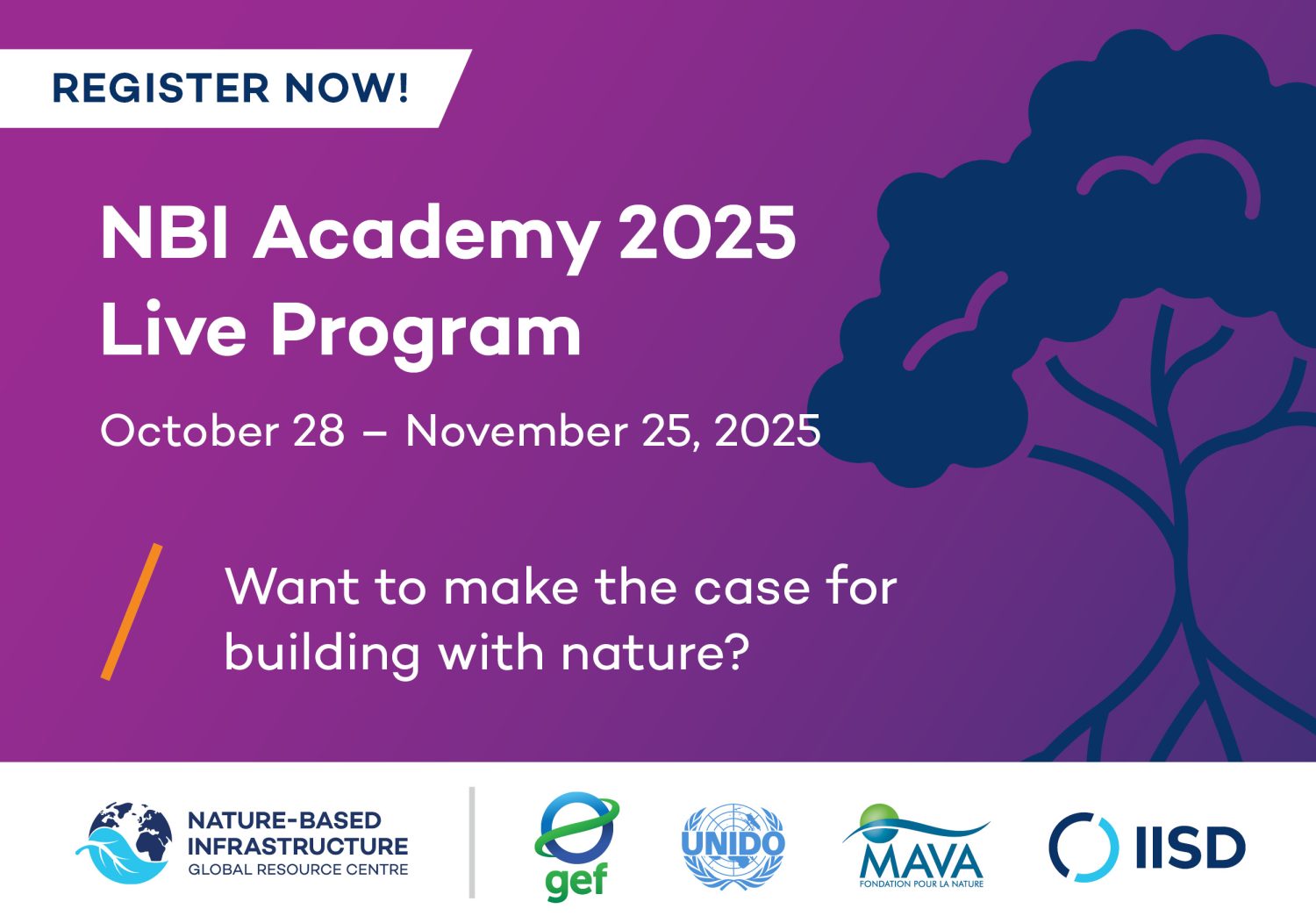 5-Week Program: Nature-Based Infrastructure Course